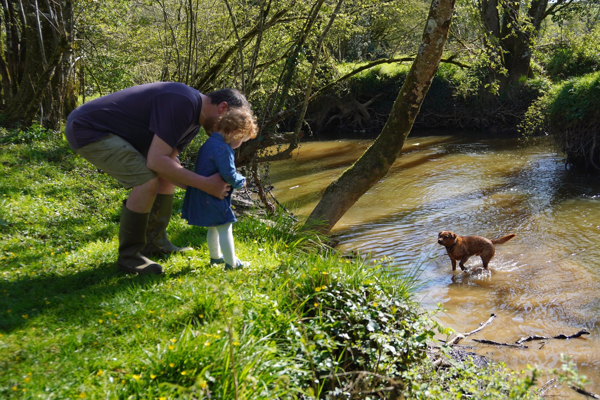 Gallery » Self Catering Cottages Devon » Wild Wanderers